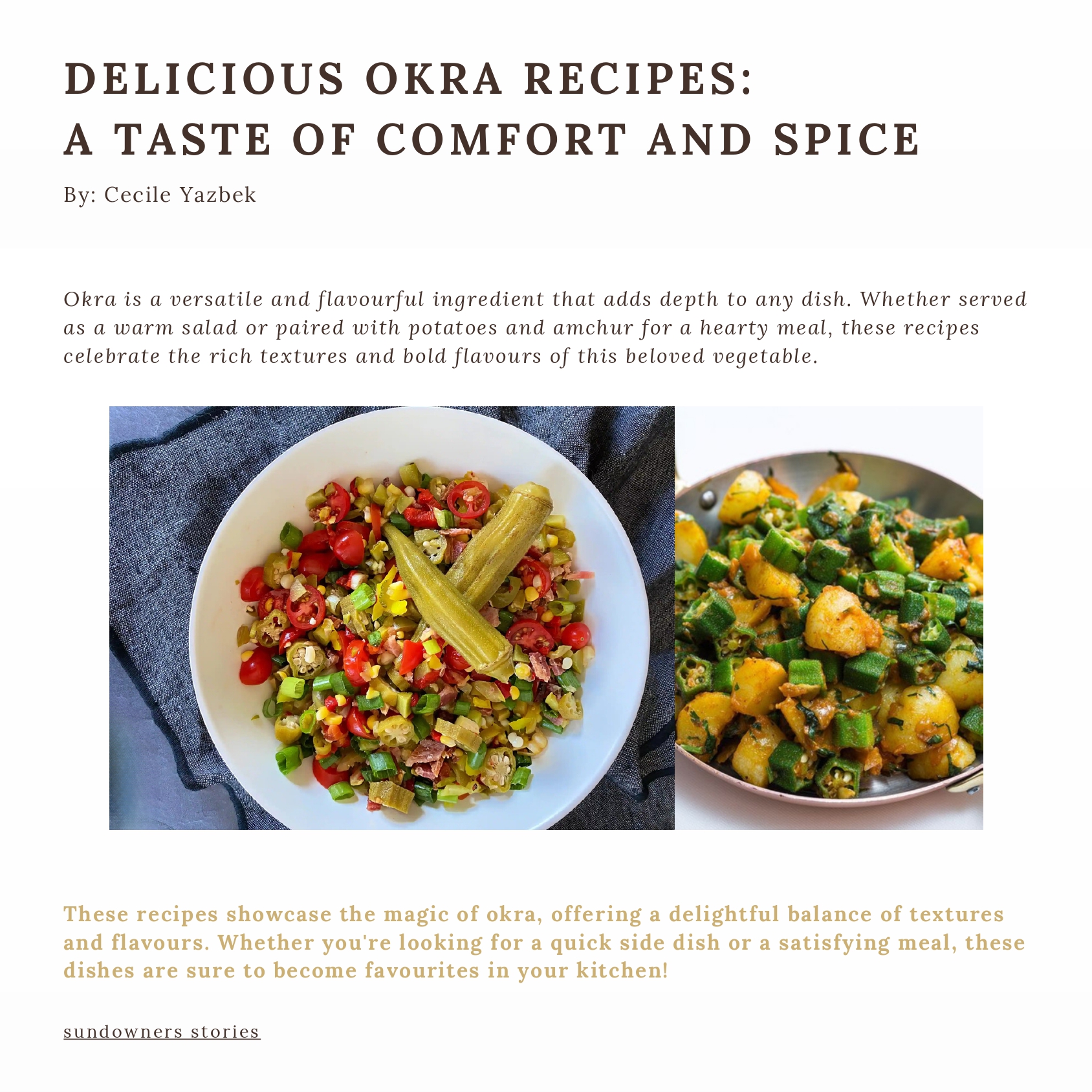 Delicious Okra Recipes A Taste of Comfort and Spice - Sundowner Stories